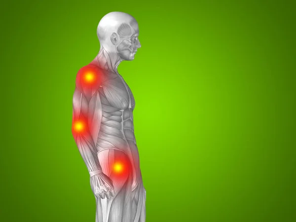 Female Human Upper Body Anatomy — Stock Photo © Chastity #9162280