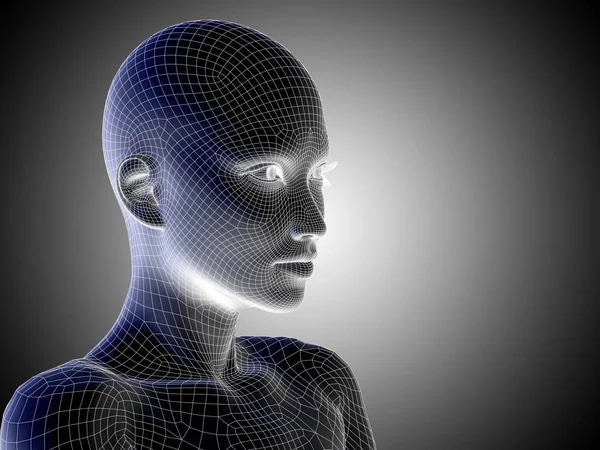 Female wireframe head Stock Photo by ©design36 134054426