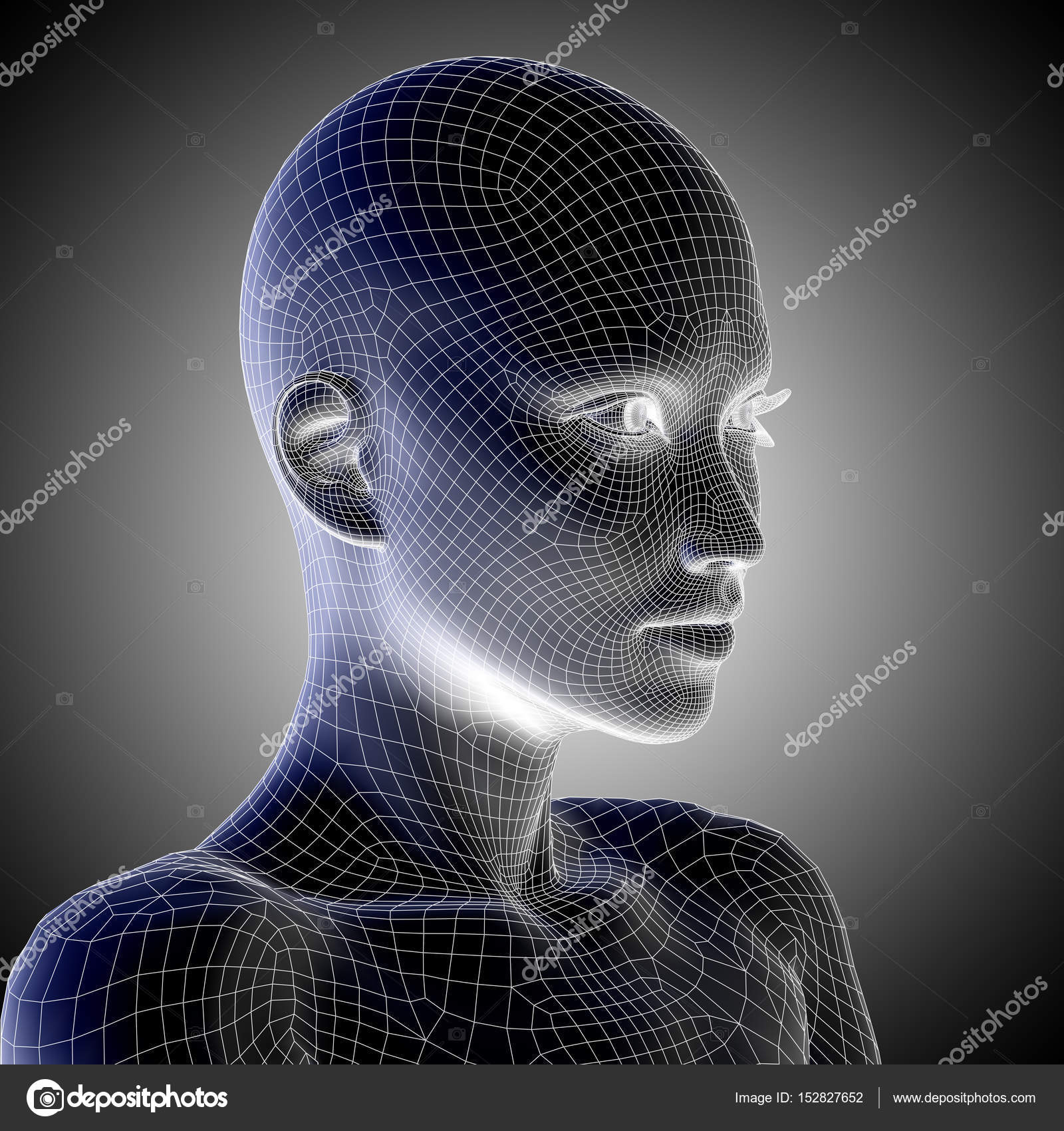 Wireframe young human male face Stock Photo by ©design36 152827652