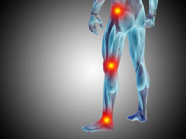 Conceptual 3D human man anatomy lower body or health design, joint or ...
