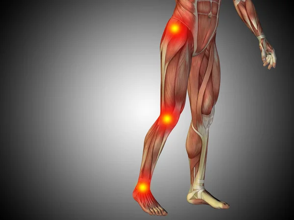 Human man anatomy — Stock Photo © design36 #98737472