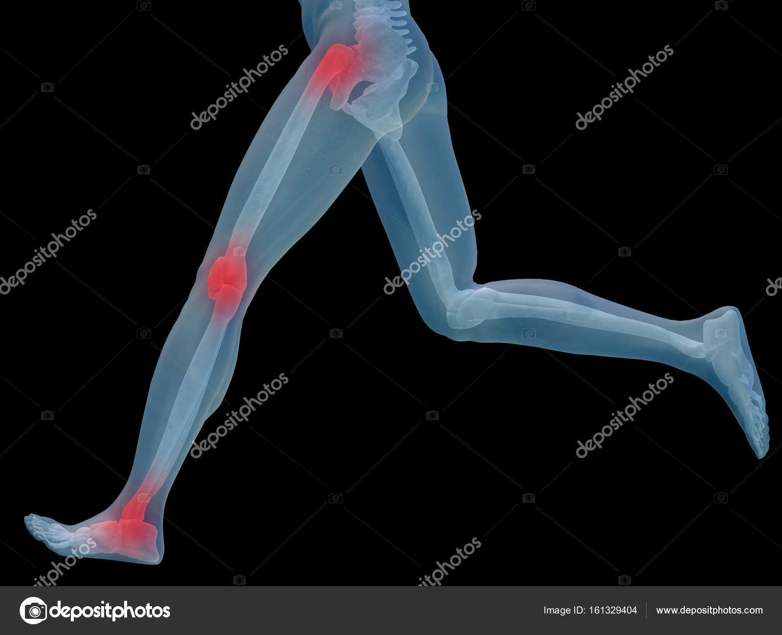 Human running anatomy model Stock Photo by ©design36 161329404