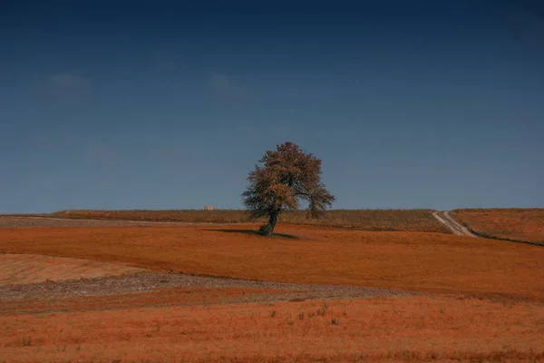 Thomas buchi Stock Photos, Royalty Free Thomas buchi Images | Depositphotos