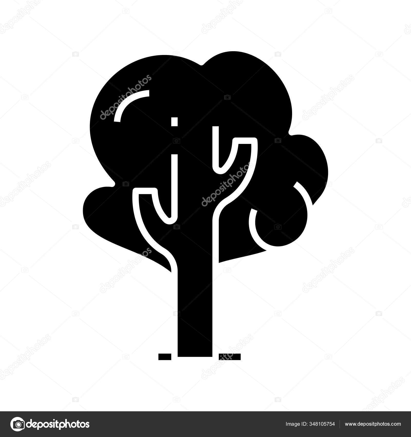 Broad leaved tree black icon, concept illustration, vector flat symbol ...