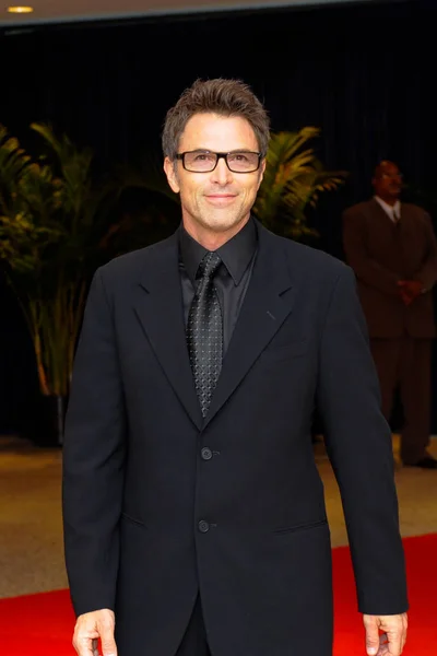 Tim daly Stock Photos, Royalty Free Tim daly Images | Depositphotos