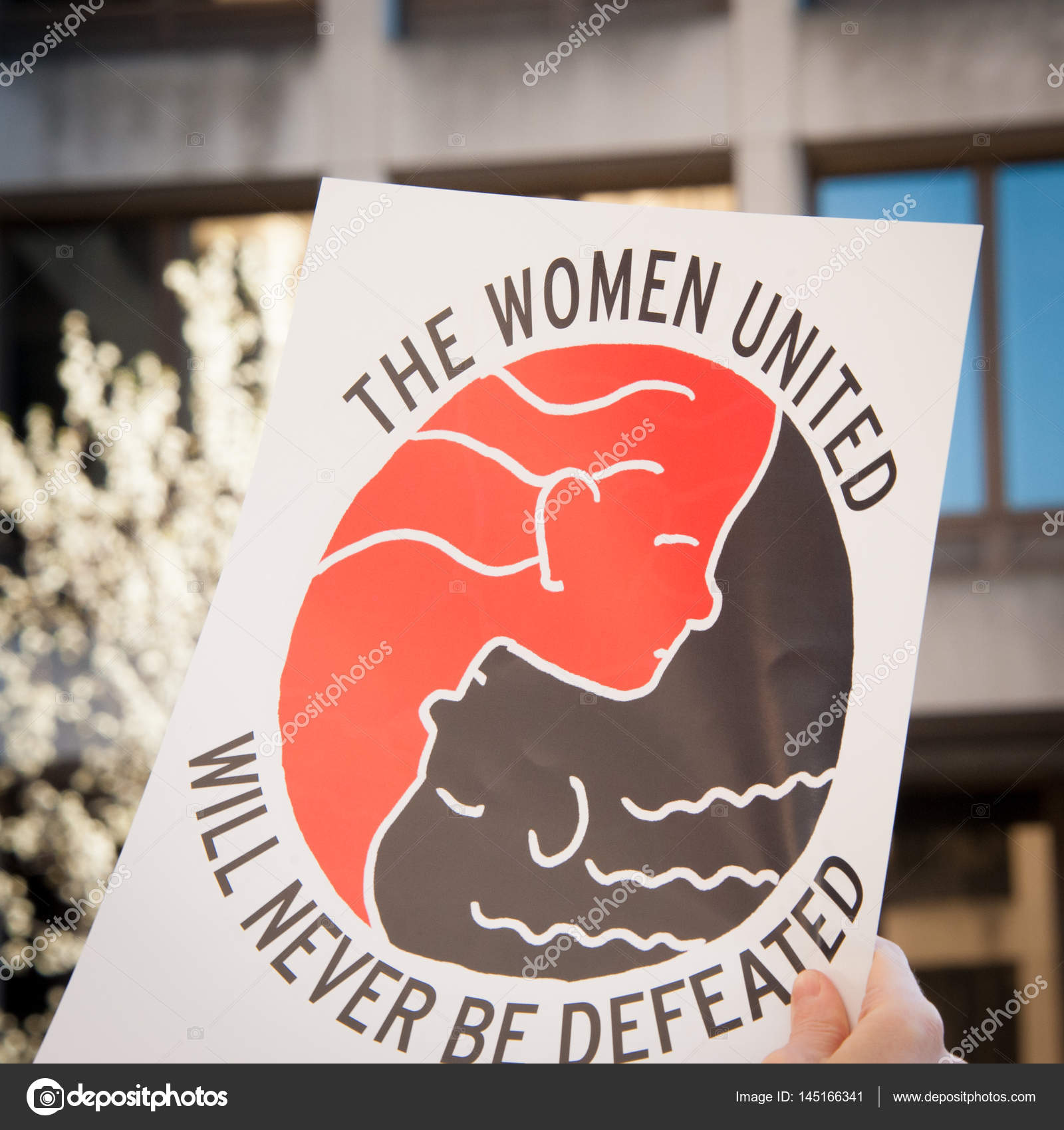 Womens Rights Protest Signs