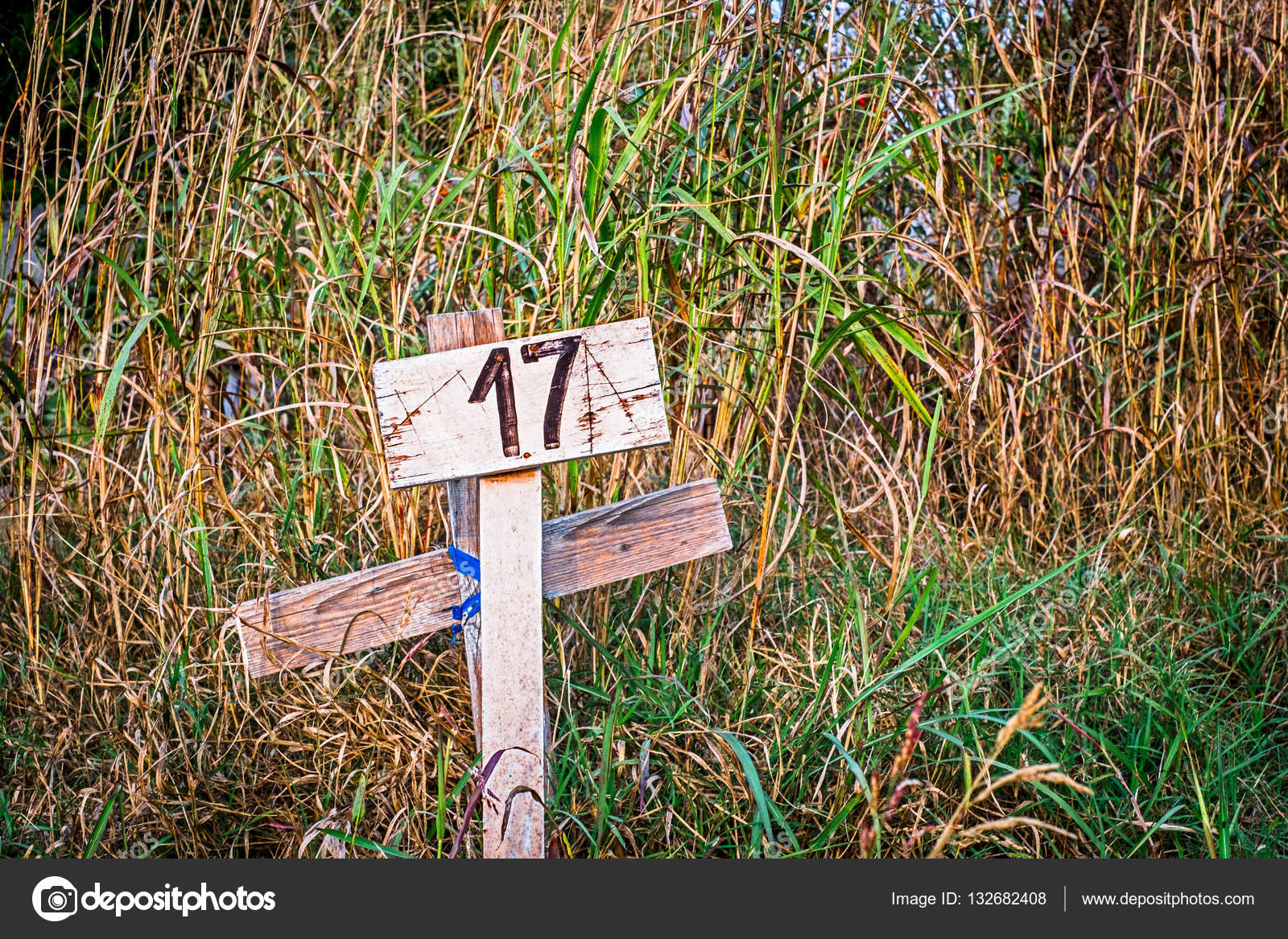 Sign Number Nature — Stock Photo © Roberto_Sorin #132682408