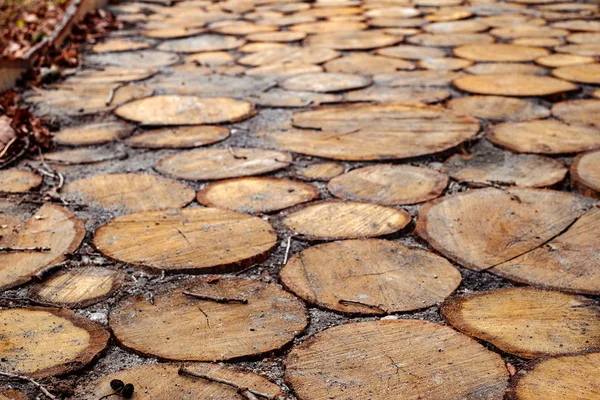 Oak tree driveway Stock Photos, Royalty Free Oak tree driveway Images ...