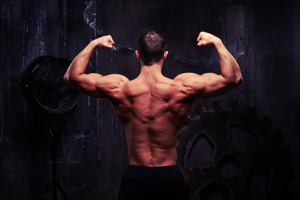 Male model back Images - Search Images on Everypixel