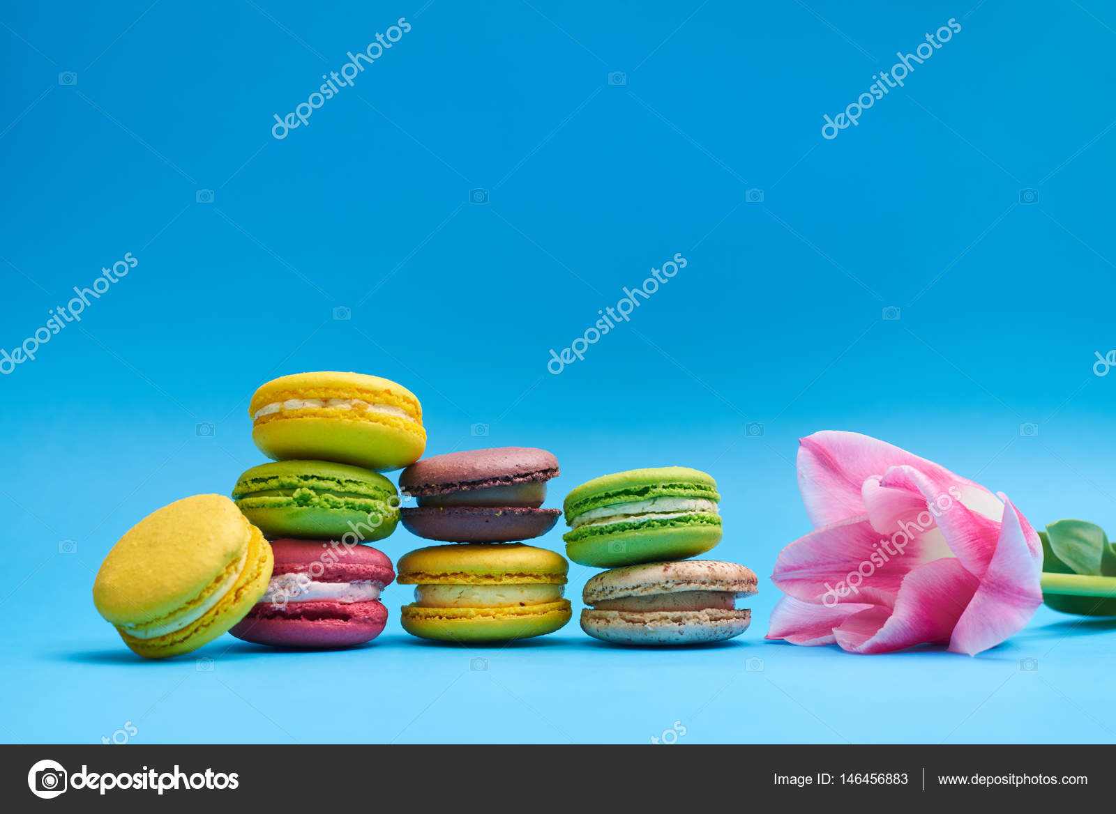 Colorful Macaroons Display