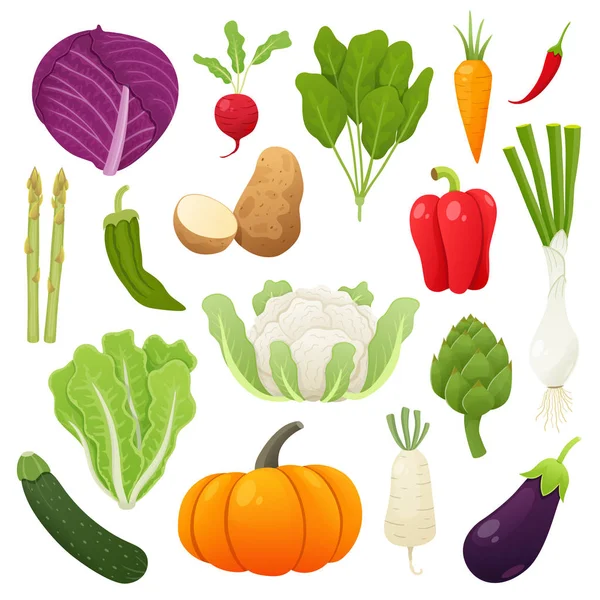 Variety vegetables Vector Art Stock Images | Depositphotos