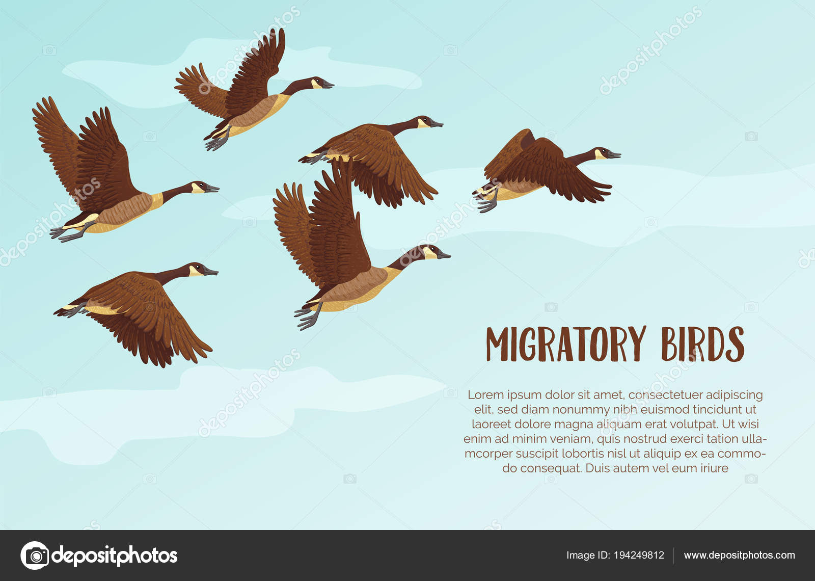Migratory birds background with text Stock Vector Image by ©insemar ...