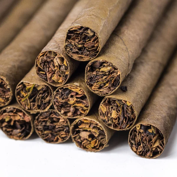 Cigar and leaf — Stock Photo © kornienkoalex #9017878