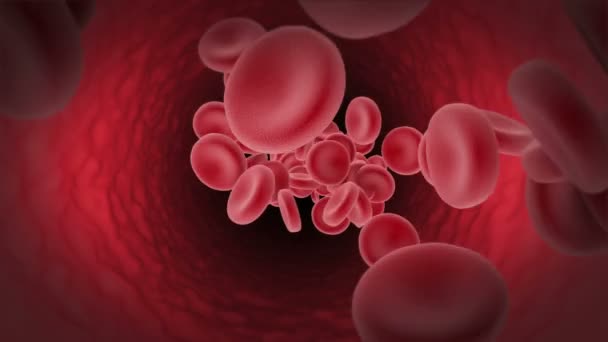 Animation of Red Blood Cells — Stock Video © ras-slava #55113625