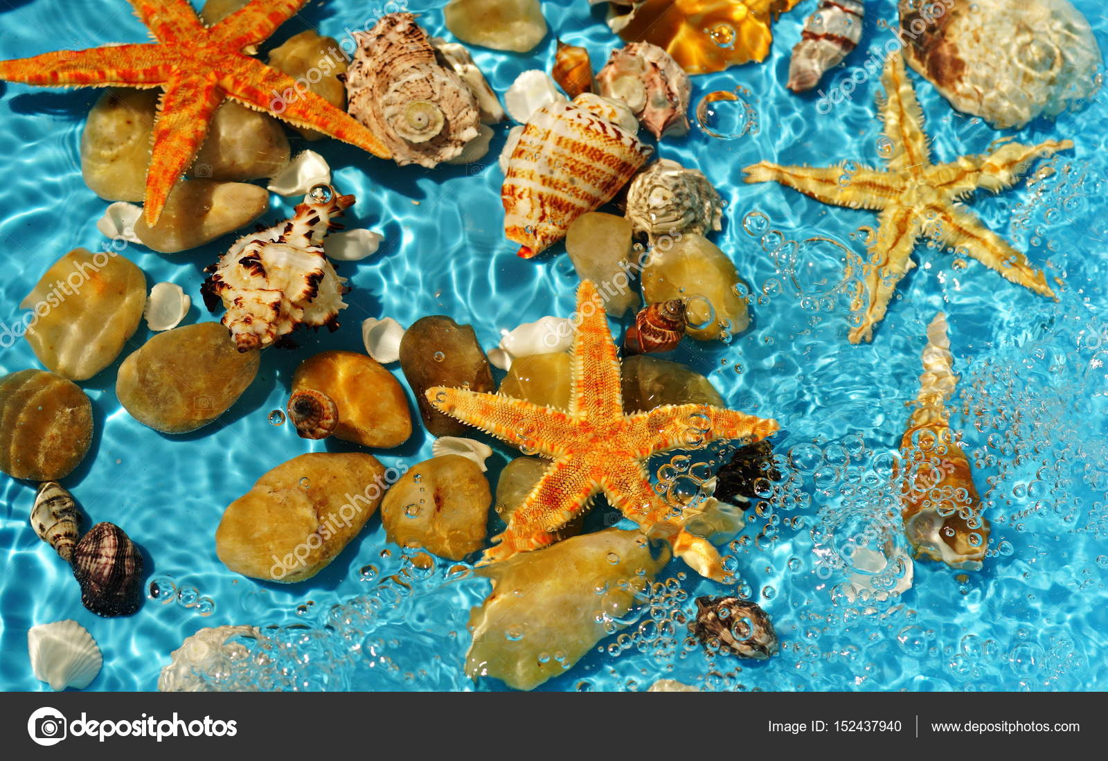 Blue background with seashells.Summer holiday relax background Stock ...