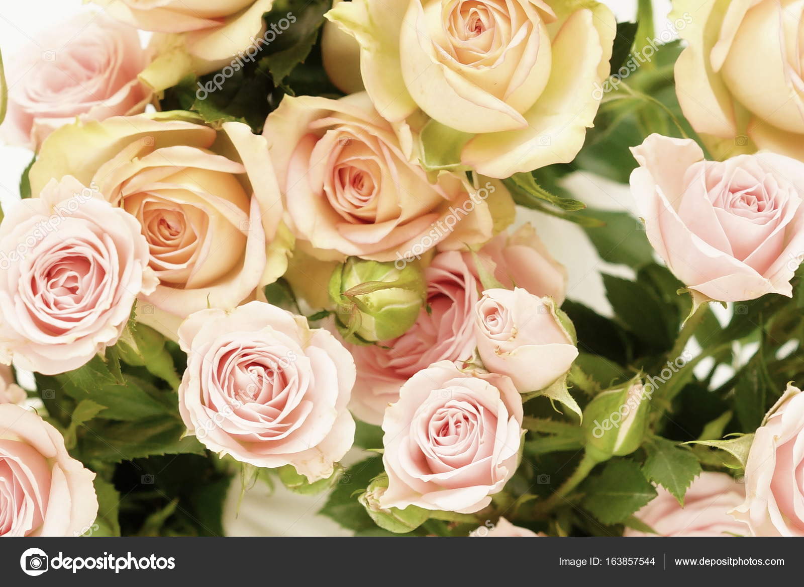 Beautiful bouquet of roses Stock Photo by ©Si-27star 163857544