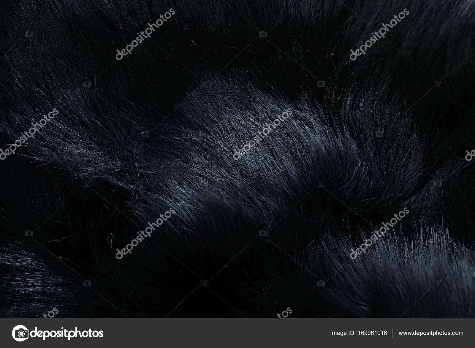 Black natural fur background — Stock Photo © Si-27star #169061016
