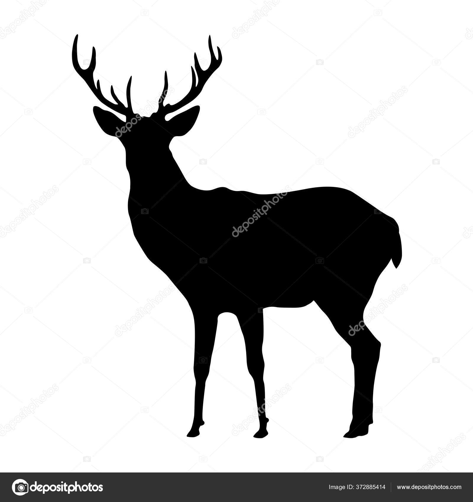 Deer Shape Vector Design Isolated White Background Stock Vector Image ...