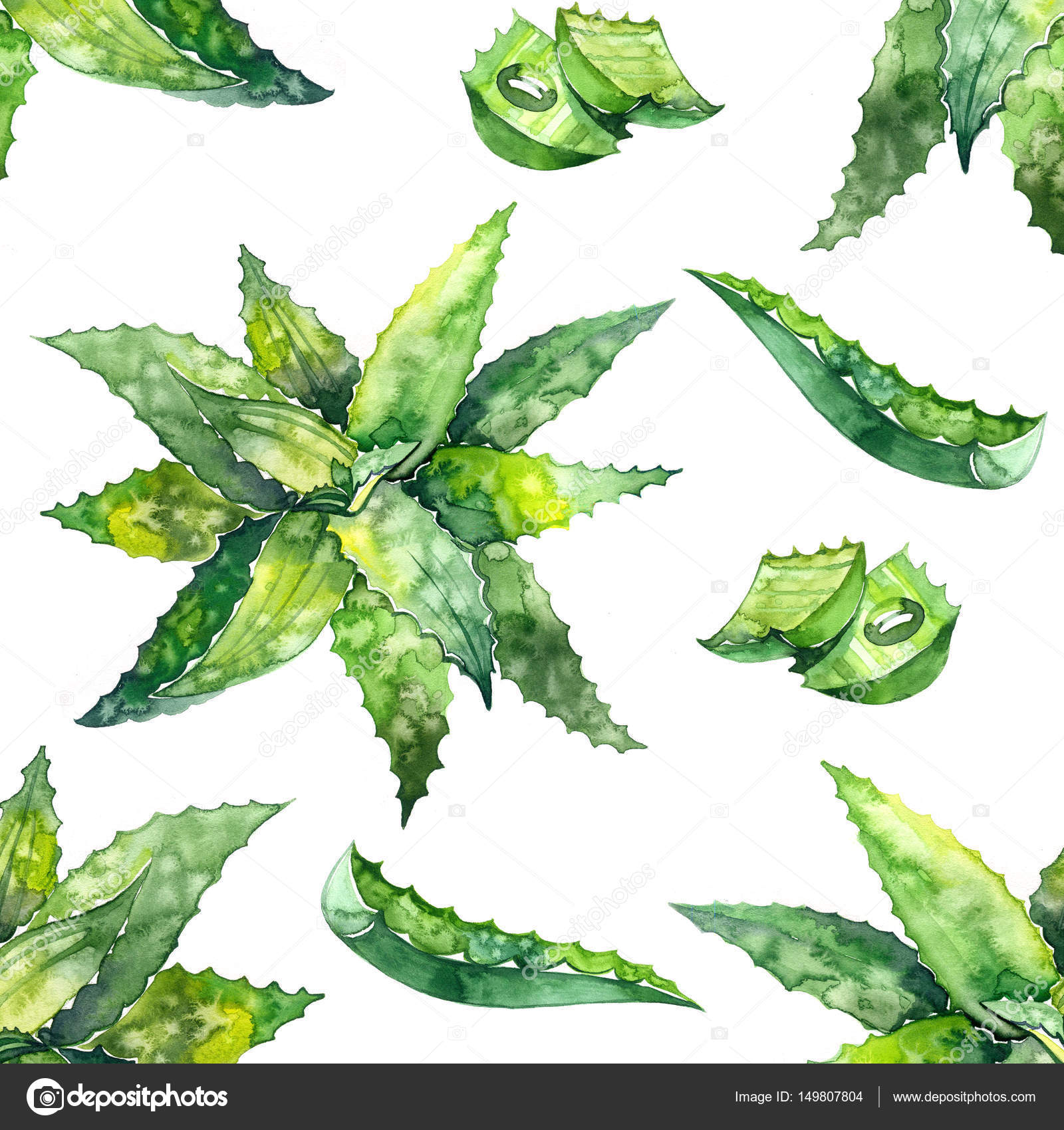 Watercolor aloe vera pattern. Illustration on white background — Stock ...