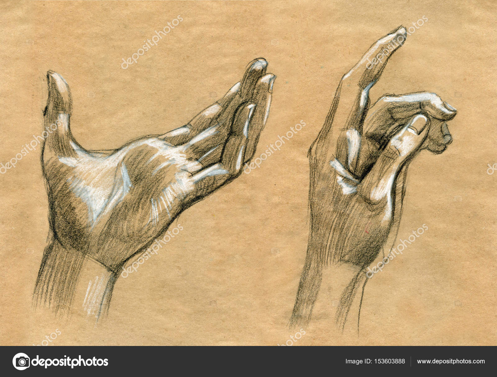 Praying Hands drawing illustration realistic sketch Stock Illustration ...