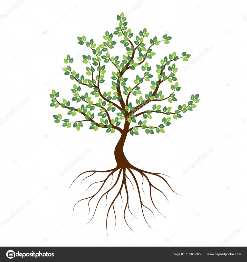 Green tree with roots an icon on a white background. Stock Vector Image ...