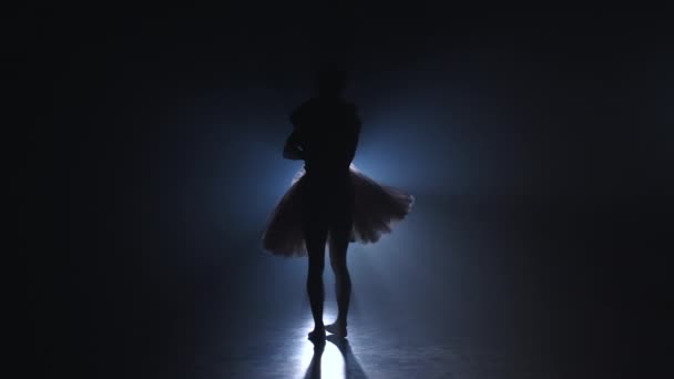 Graceful ballerina and her male partner dancing elements of classical ...