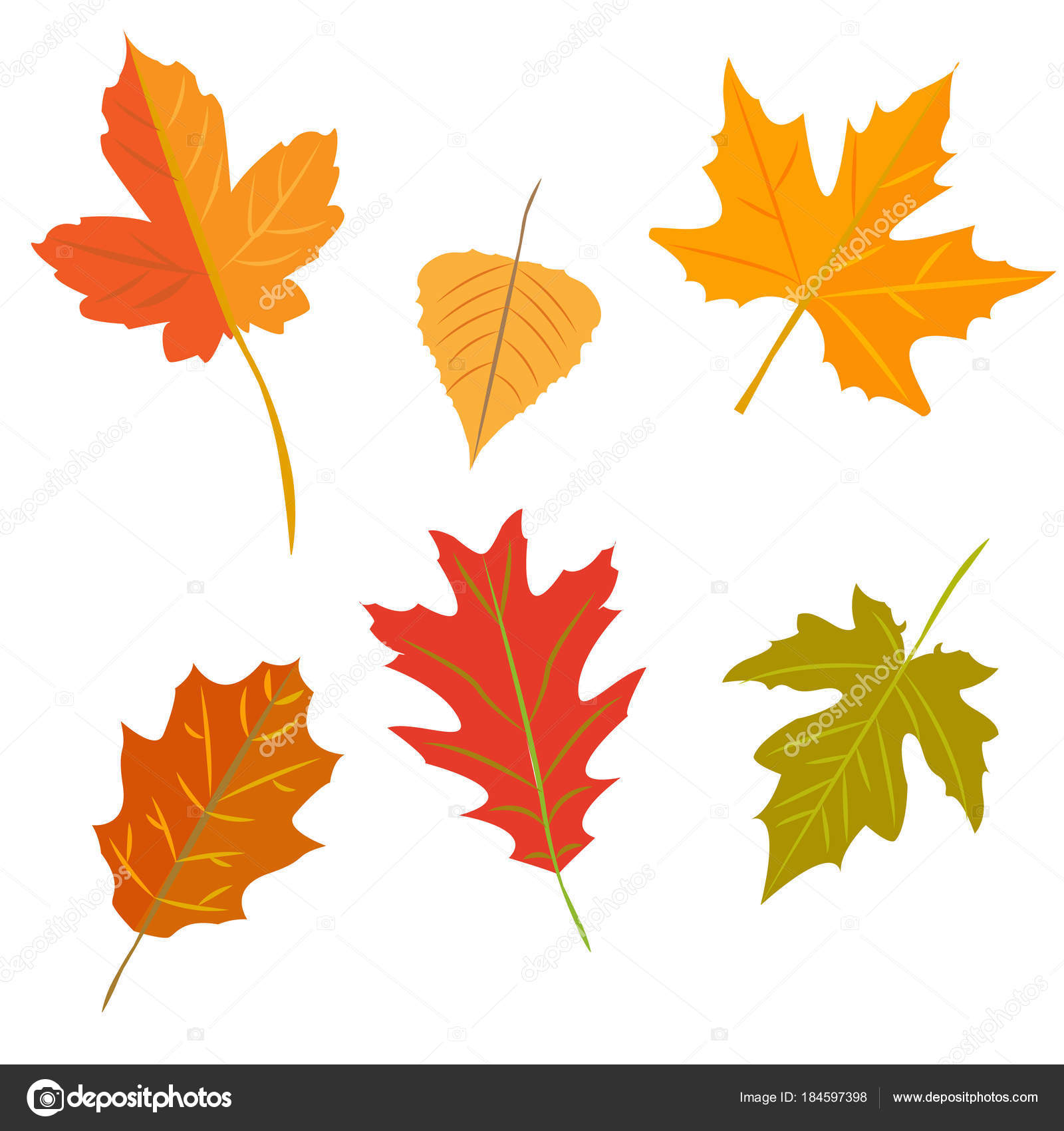 Autumn leaves set, isolated on white background Stock Vector by ...