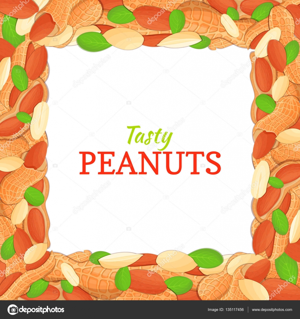 Square frame composed of delicious peanut nut. Vector card illustration ...