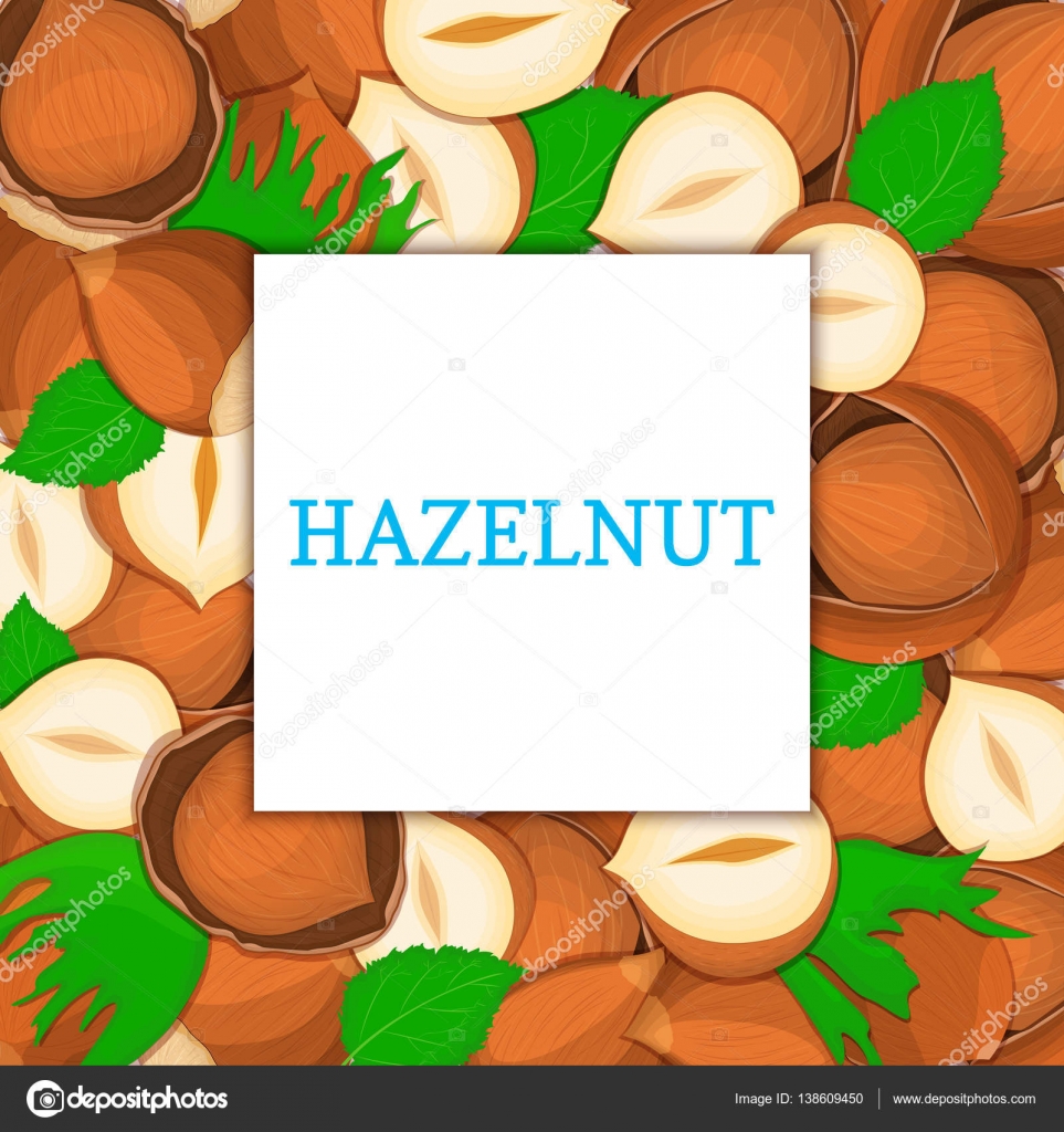 The square colored frame composed of hazelnut. Vector card illustration ...