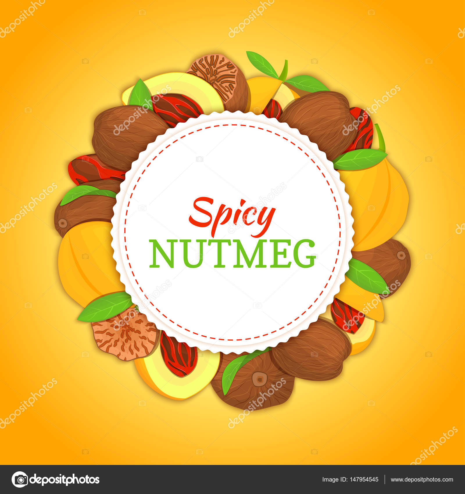 Round white frame composed of Nutmeg spice fruit. Vector card ...