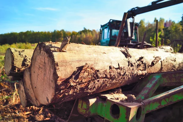 Logging equipment Stock Photos, Royalty Free Logging equipment Images ...