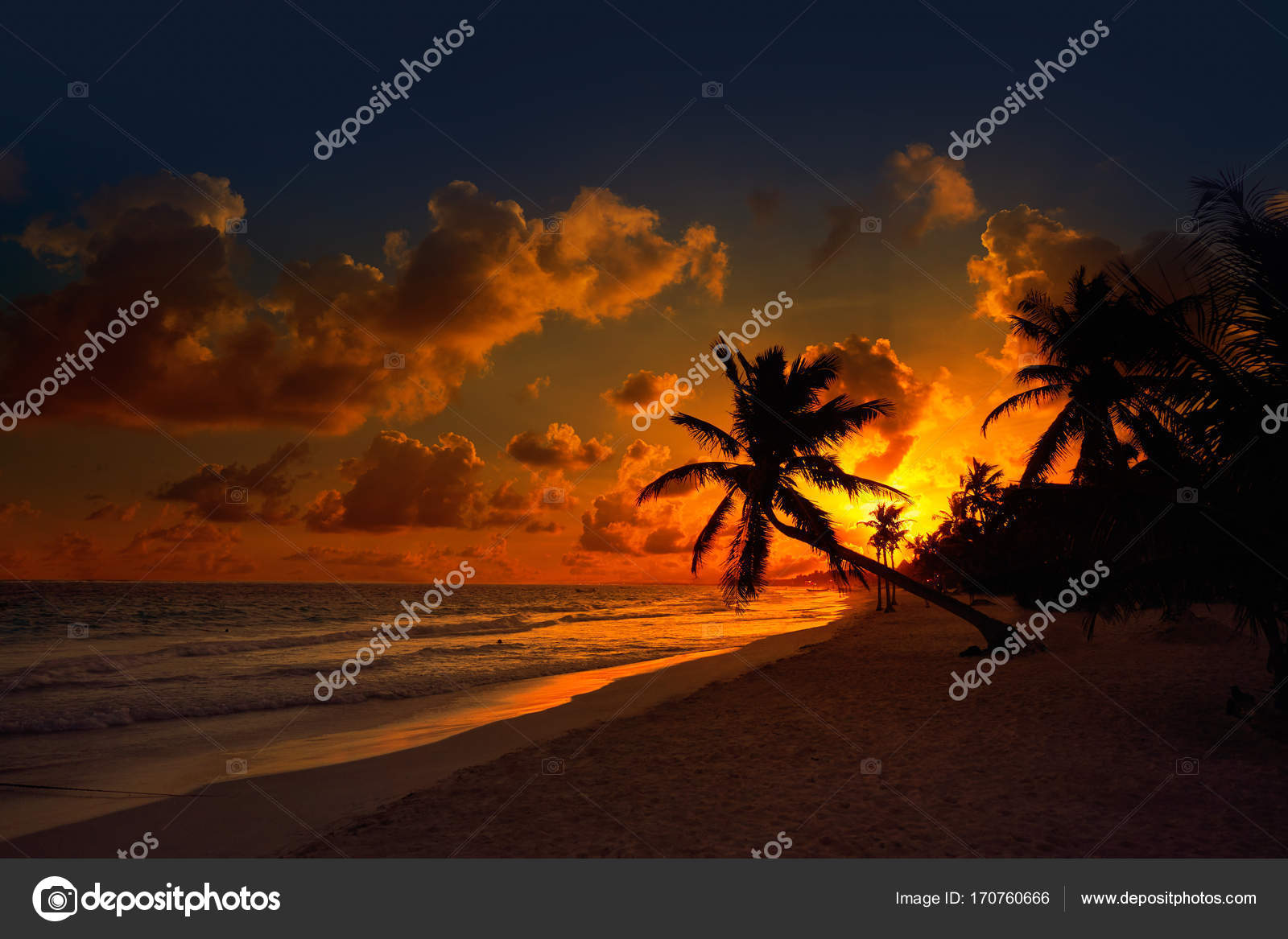 Tulum beach sunset palm tree Riviera Maya — Stock Photo © lunamarina ...