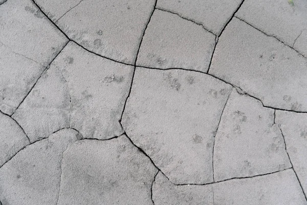 Cracked cement flower Stock Photos, Royalty Free Cracked cement flower ...
