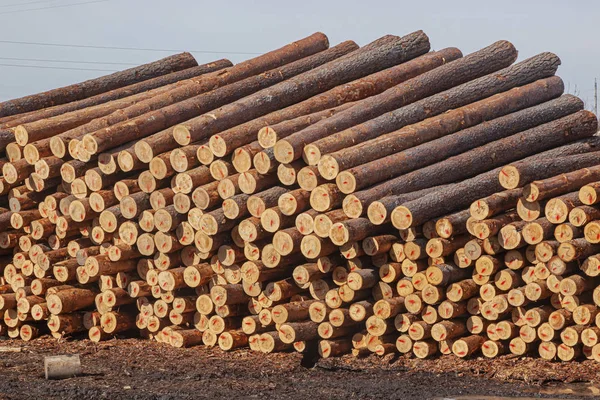 Lumber stacks Stock Photos, Royalty Free Lumber stacks Images ...