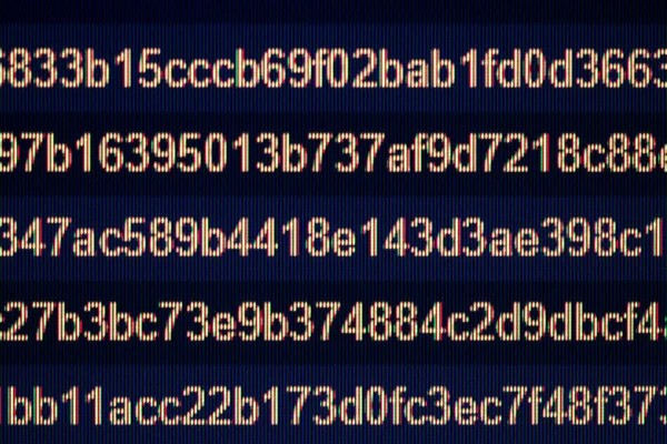 Random Stock Photos, Royalty Free Random Images | Depositphotos