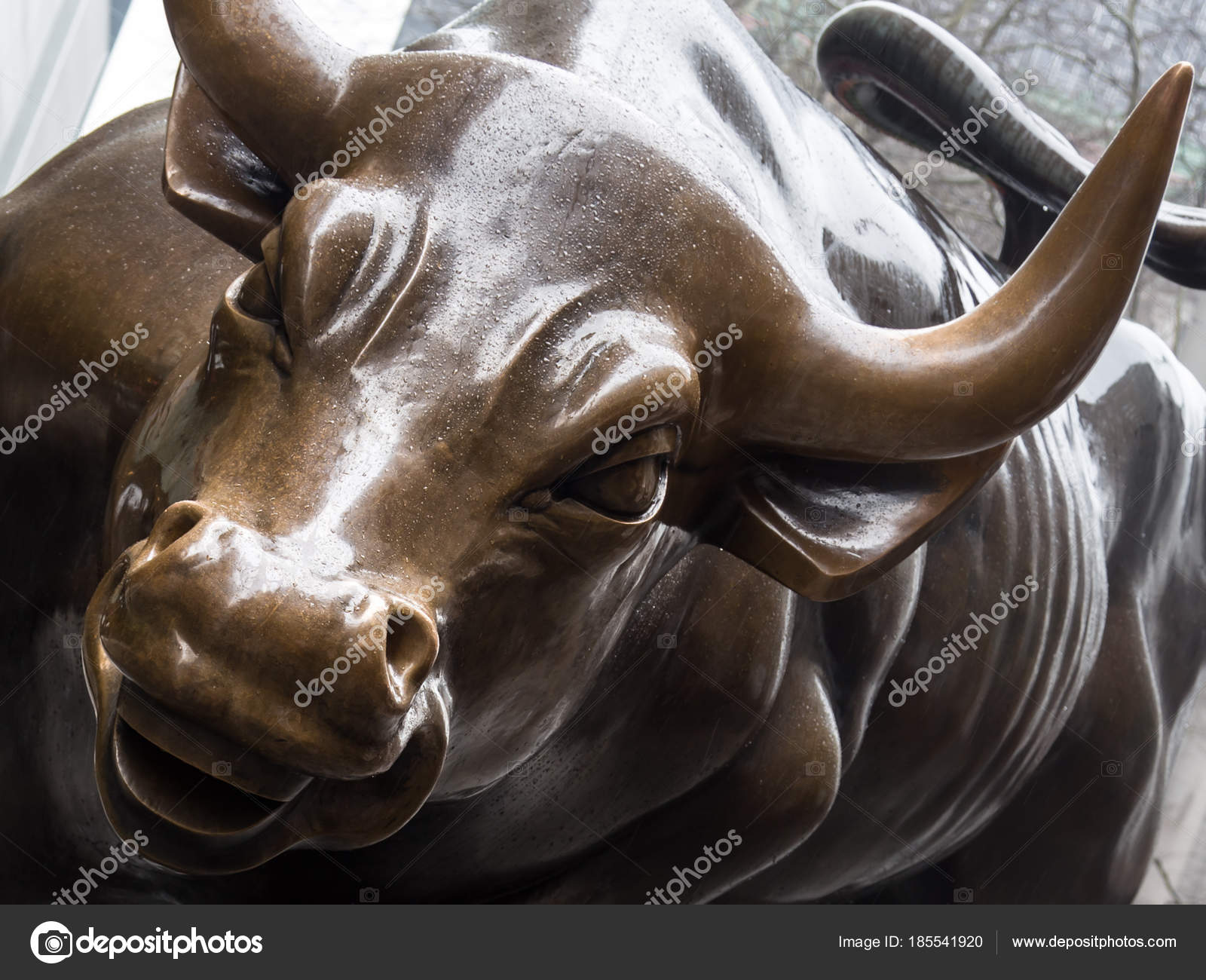 Charging Bull in Lower Manhattan, NY. – Stock Editorial Photo © kasto #185541920