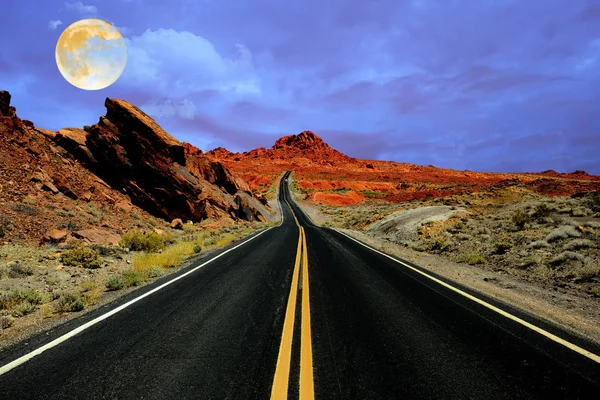 Lost highway - vertical version — Stock Photo © alptraum #3892871