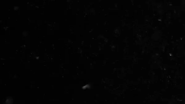 Floating dust Images - Search Images on Everypixel