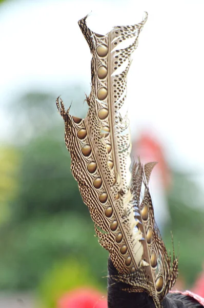 Angel Michael Messenger — Stock Photo © CoreyFord #147624623