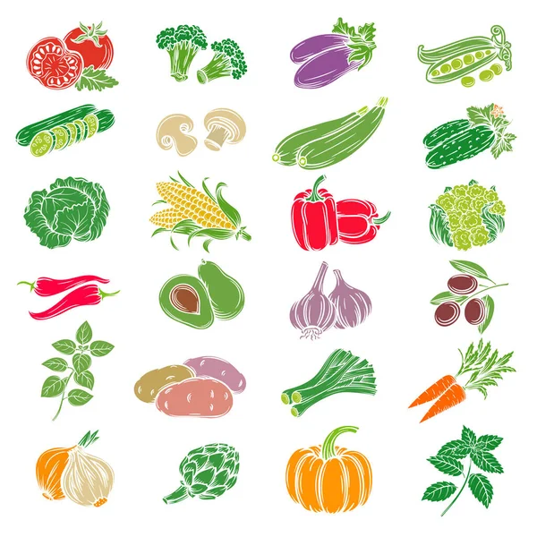 13,444 Hand drawn vegetables Vector Images | Depositphotos