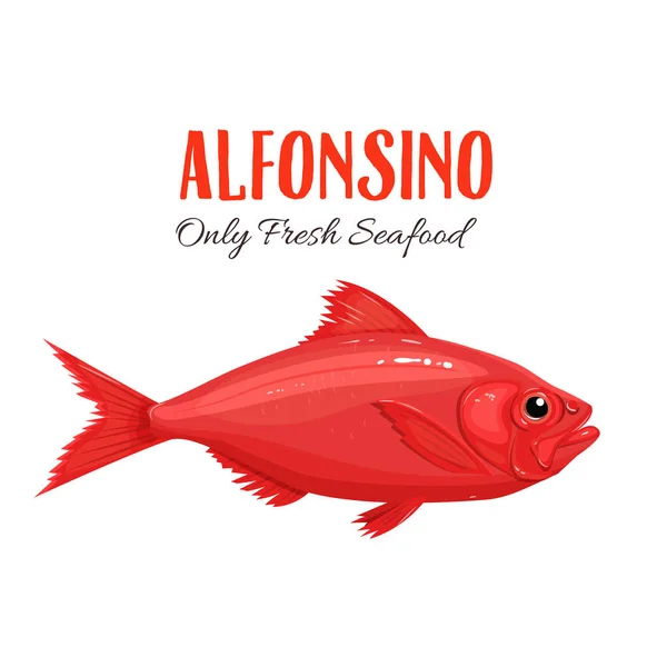 Pargo rojo imágenes de stock de arte vectorial | Depositphotos