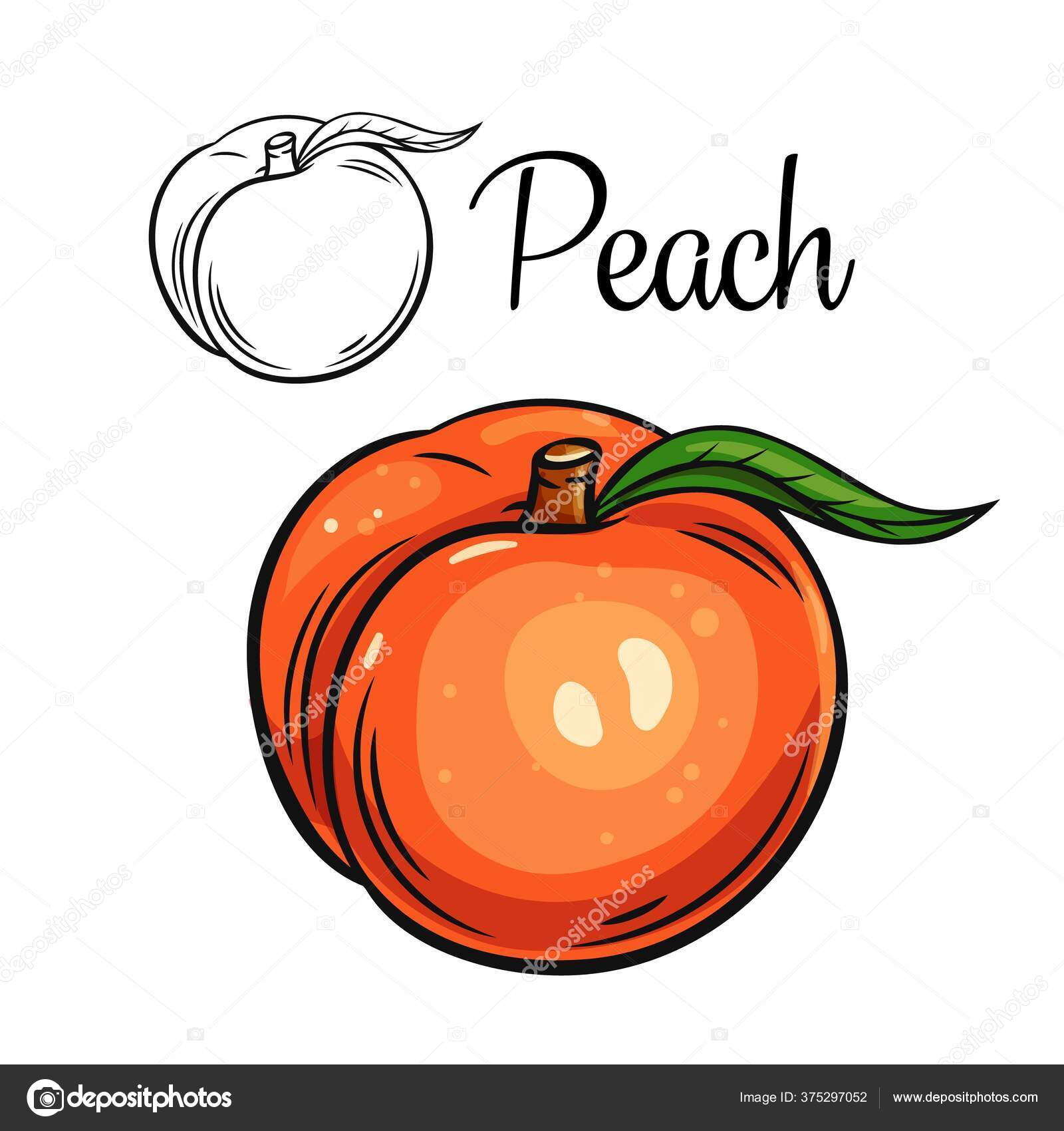 Pfirsichvektor-Zeichensymbol Stock-Vektorbild von ©tory 375297052