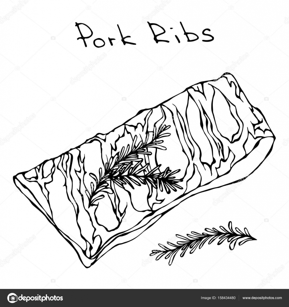 Row Pork Ribs and Herbs. Realistic Vector Illustration Isolated Hand ...