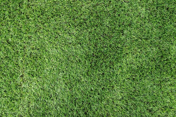 Green grass seamless texture Stock Photos, Royalty Free Green grass ...