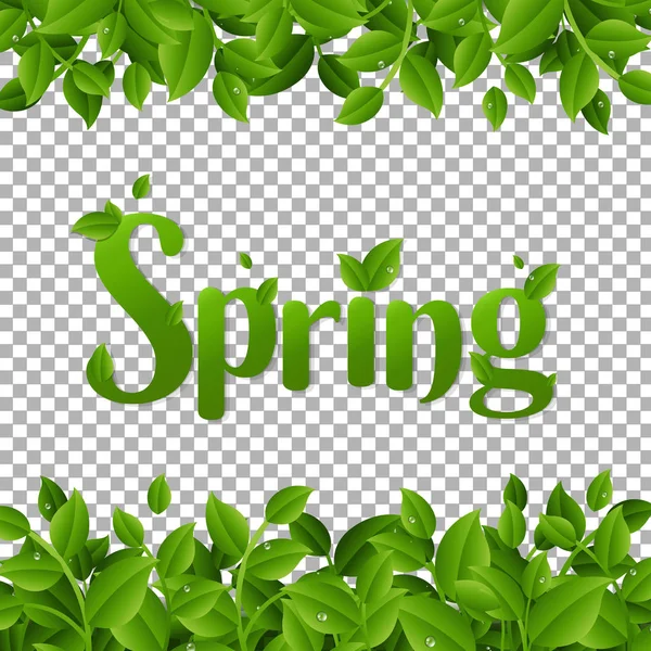 Ladybug on green leaf — Stock Vector © barbaliss #150245570