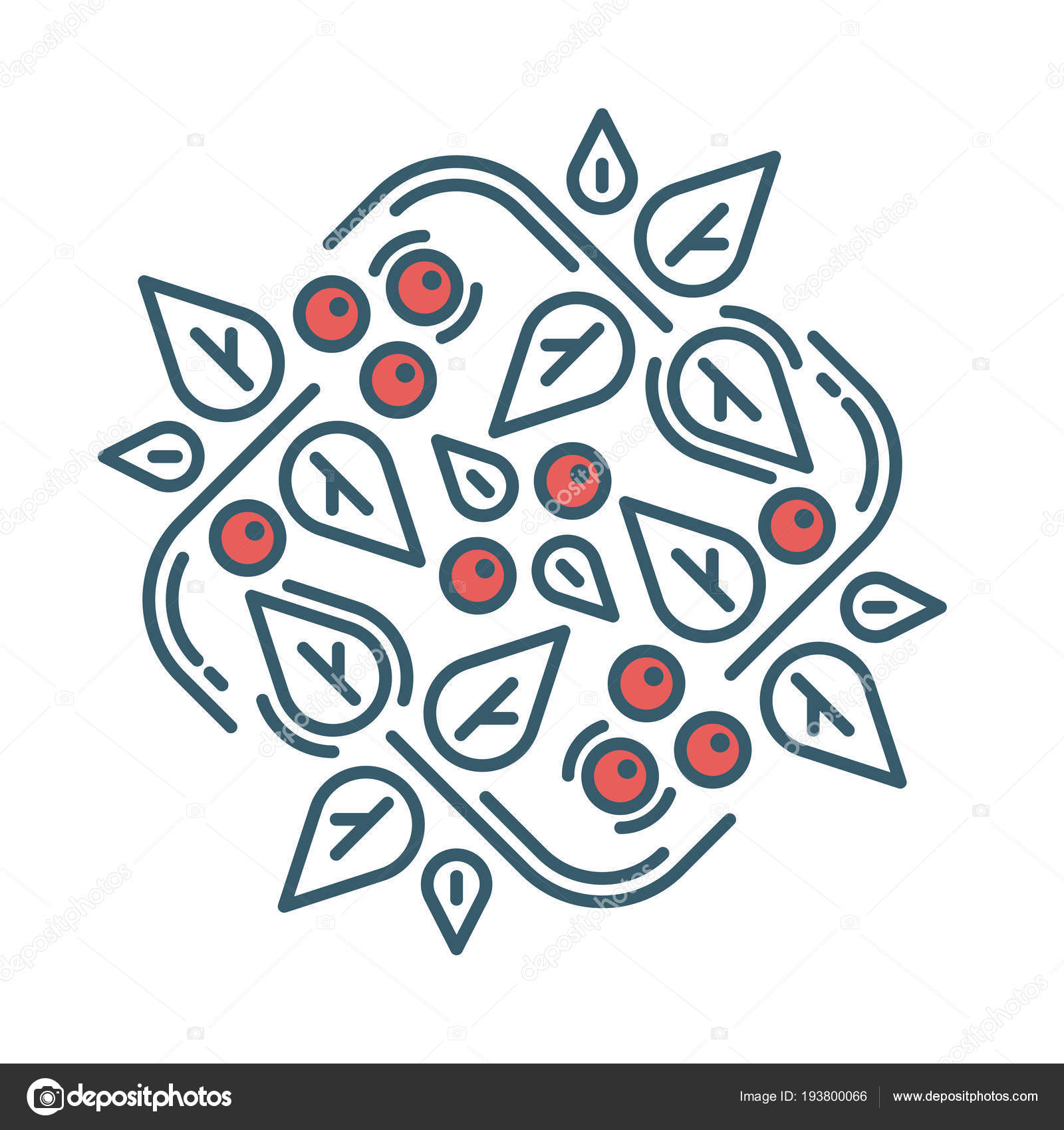 Minimal Berries Decorative Element Stock Vector by ©Isovector 193800066