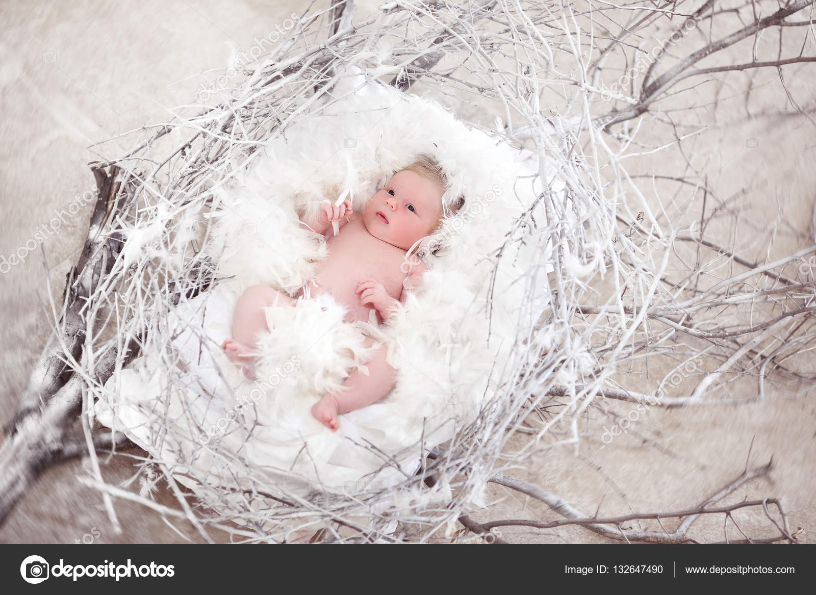 Newborn baby with white feather in nest. Portrait of adorable ne Stock ...