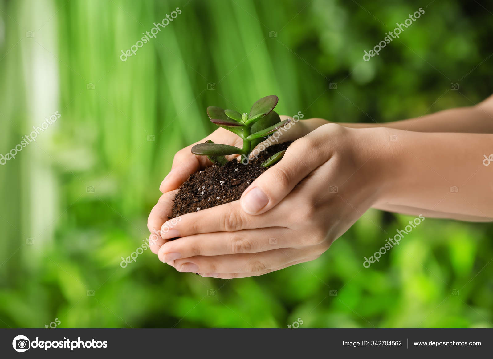 Female hands with plant on green background. Earth day celebration ...