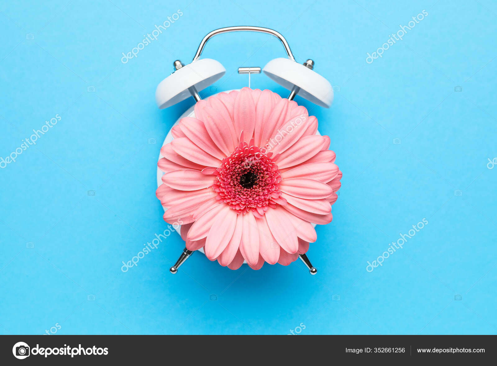 Creative Alarm Clock Made Flower Color Background Stock Photo by ...