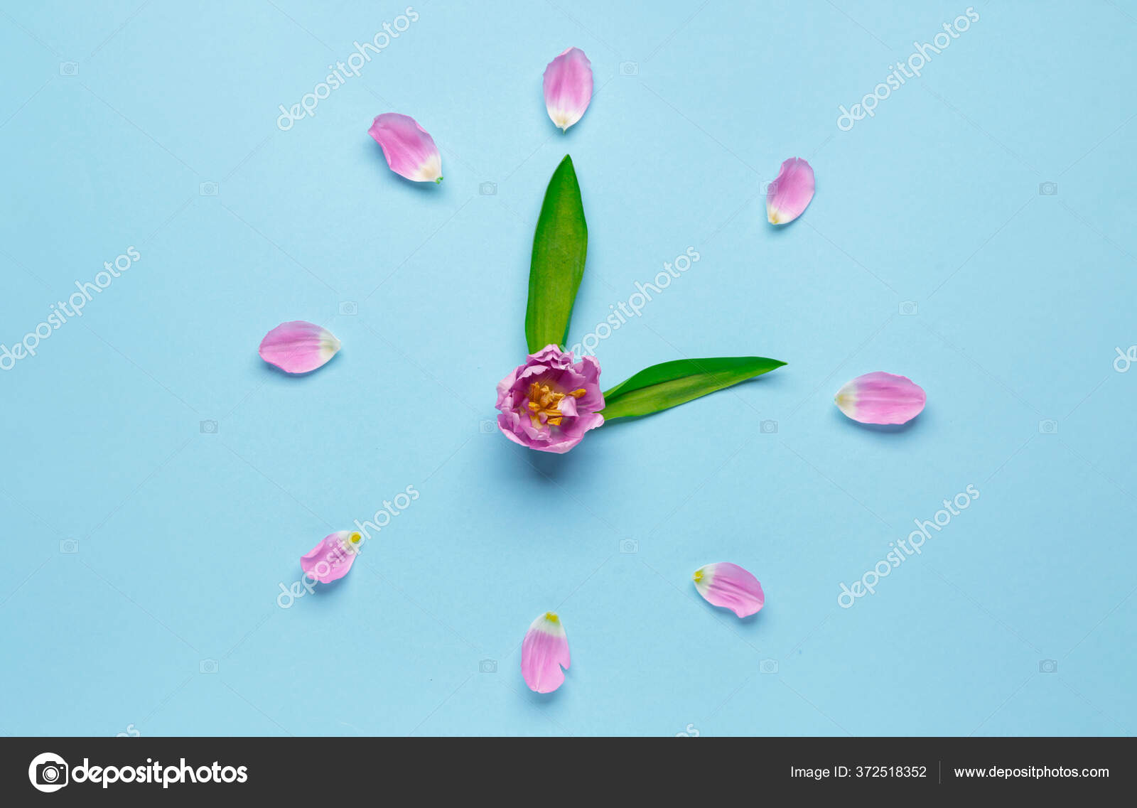 Clock Made Flowers Color Background Spring Time Stock Photo by ...